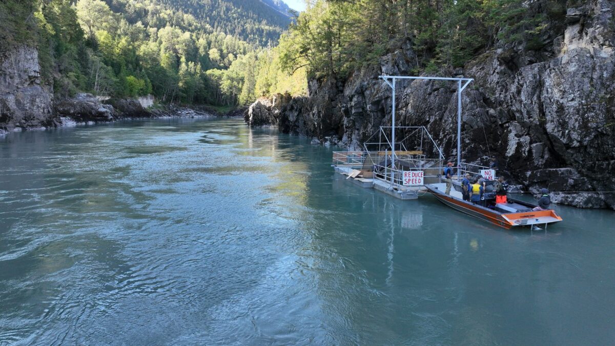 Swim The Skeena Challenge | SkeenaWild Conservation Trust